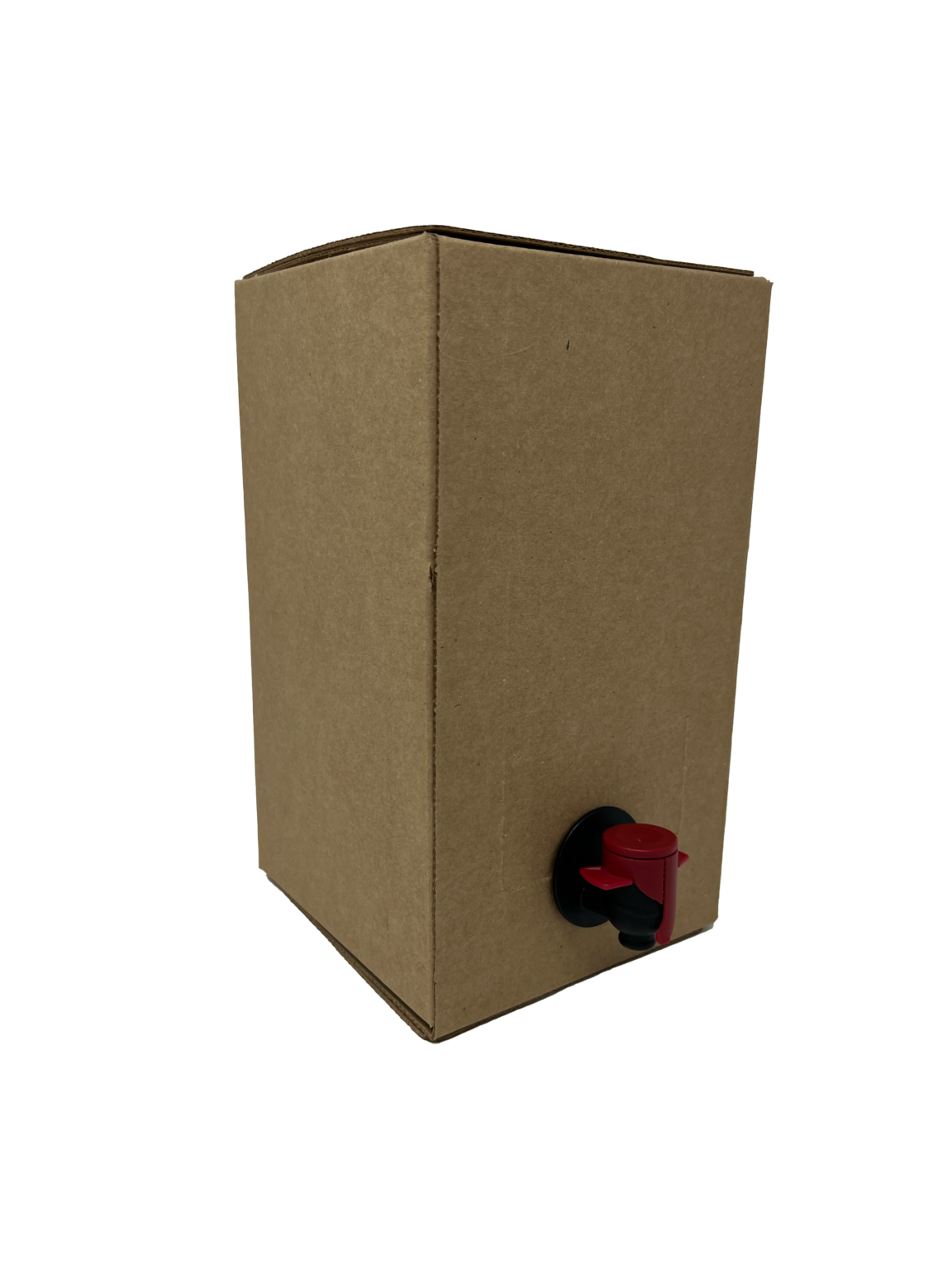 Astrobag® BIB Box 3L - Astrapouch | Revolutionizing Liquid Packaging